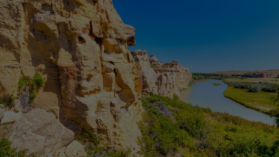 UNDRIP - Business Council of Alberta