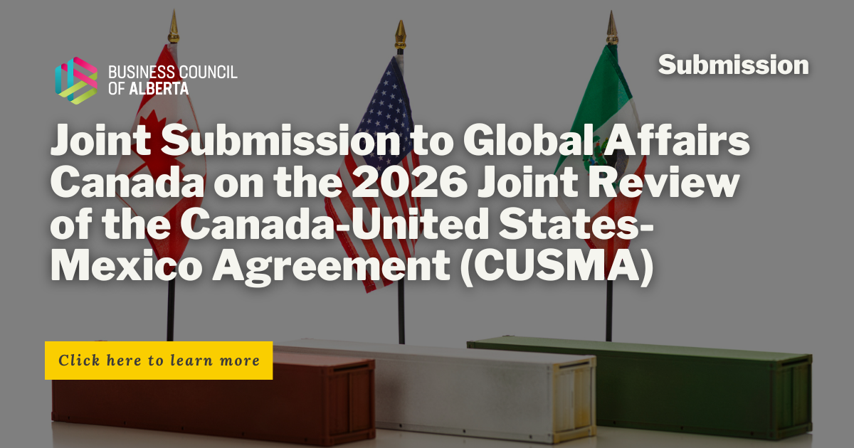 Joint Submission to Global Affairs Canada on the 2026 Joint Review of ...